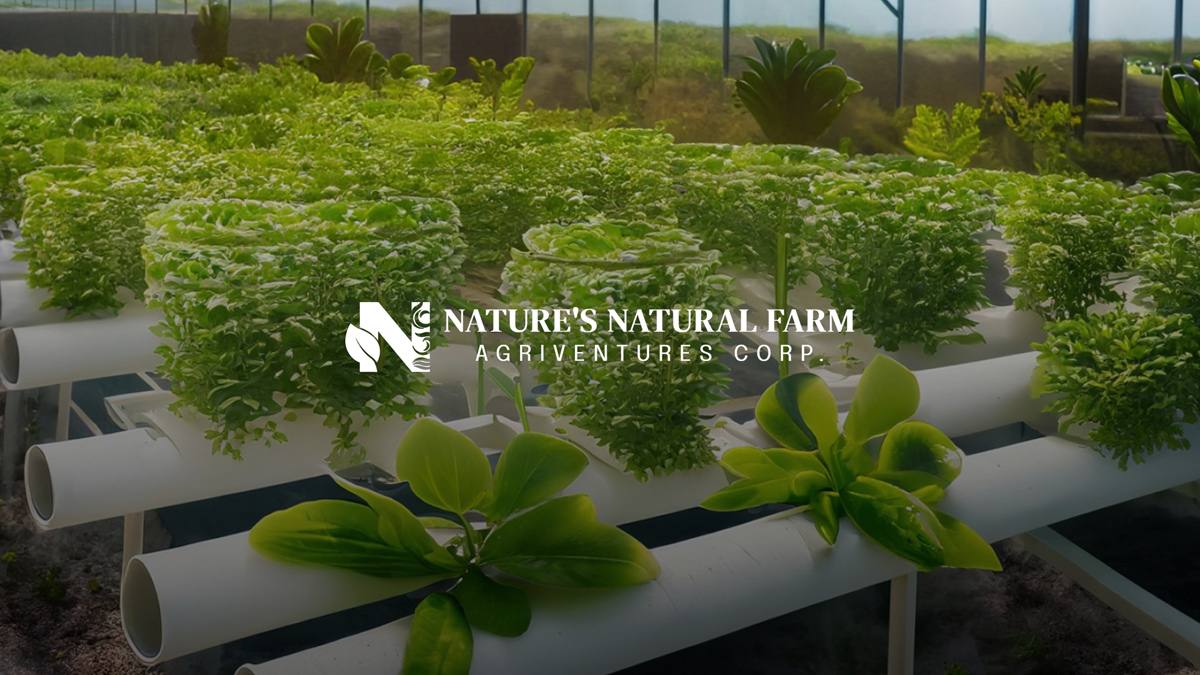 About Us - Nature's Natural Farm