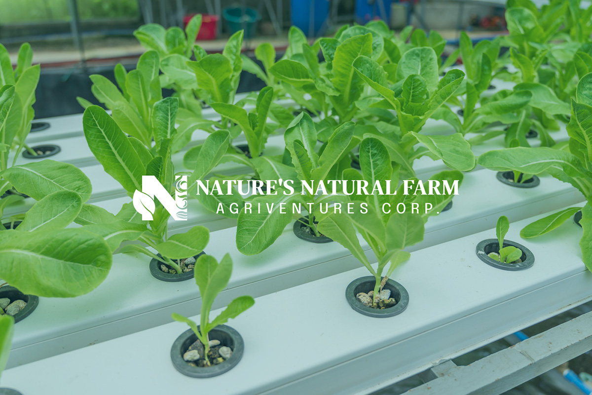 About Us - Nature's Natural Farm